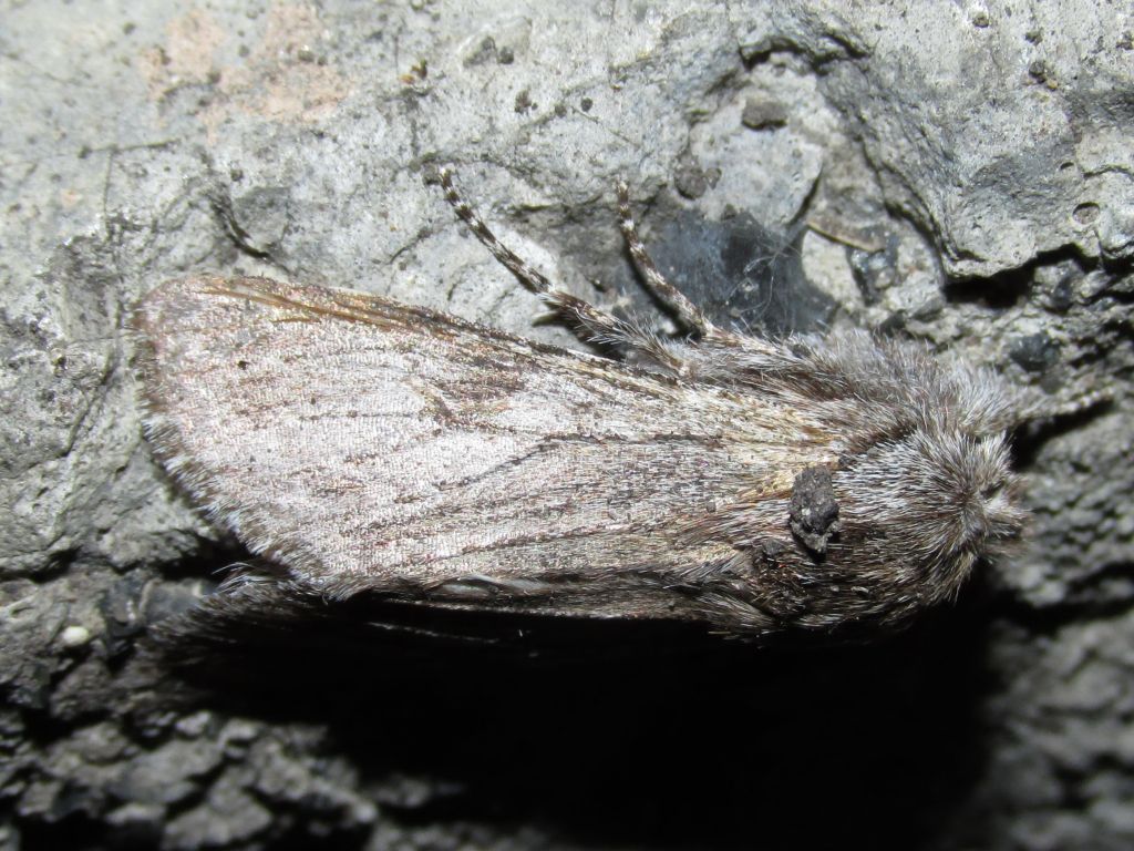 Последние добавления